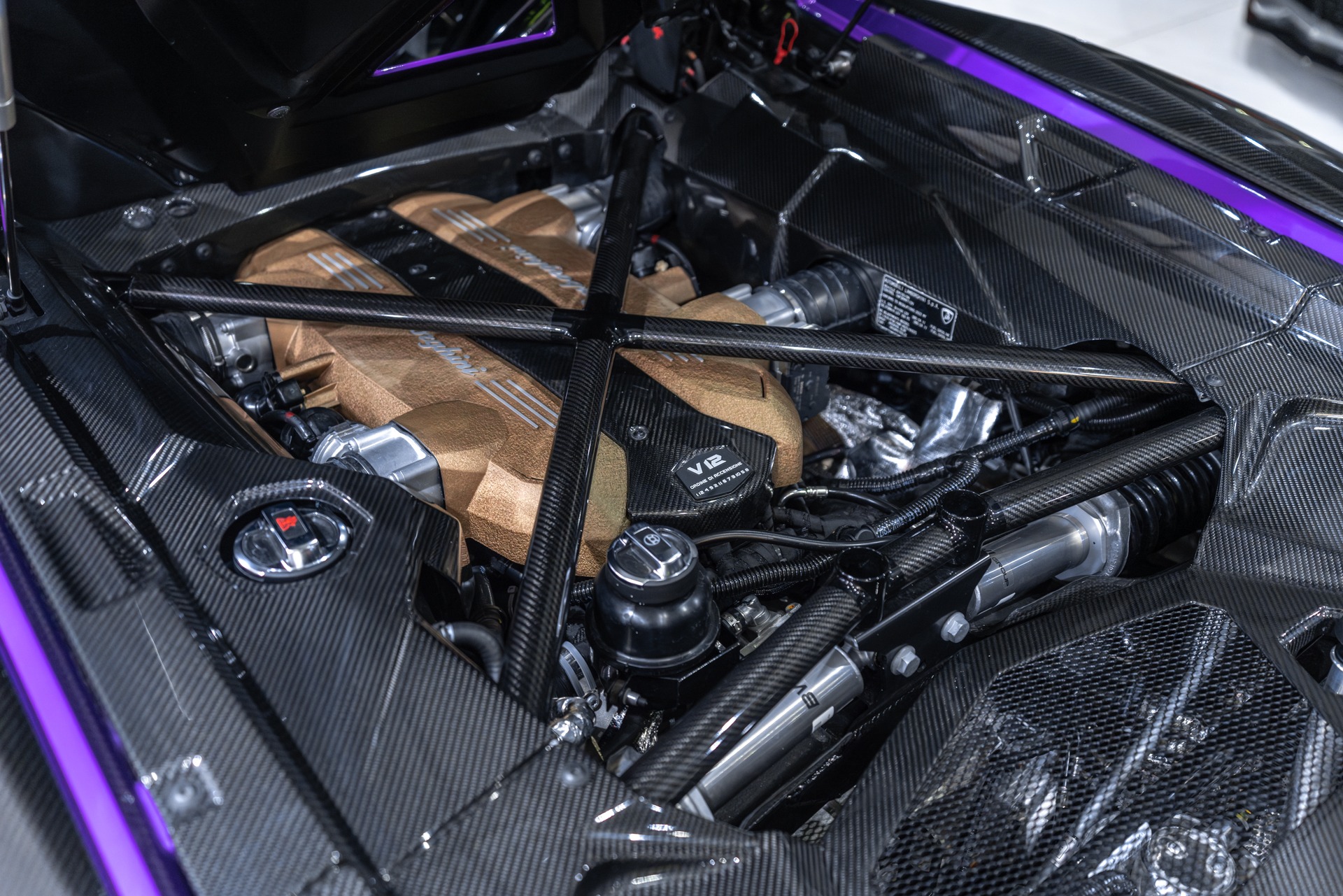 Lamborghini 2022 Veneno Engine