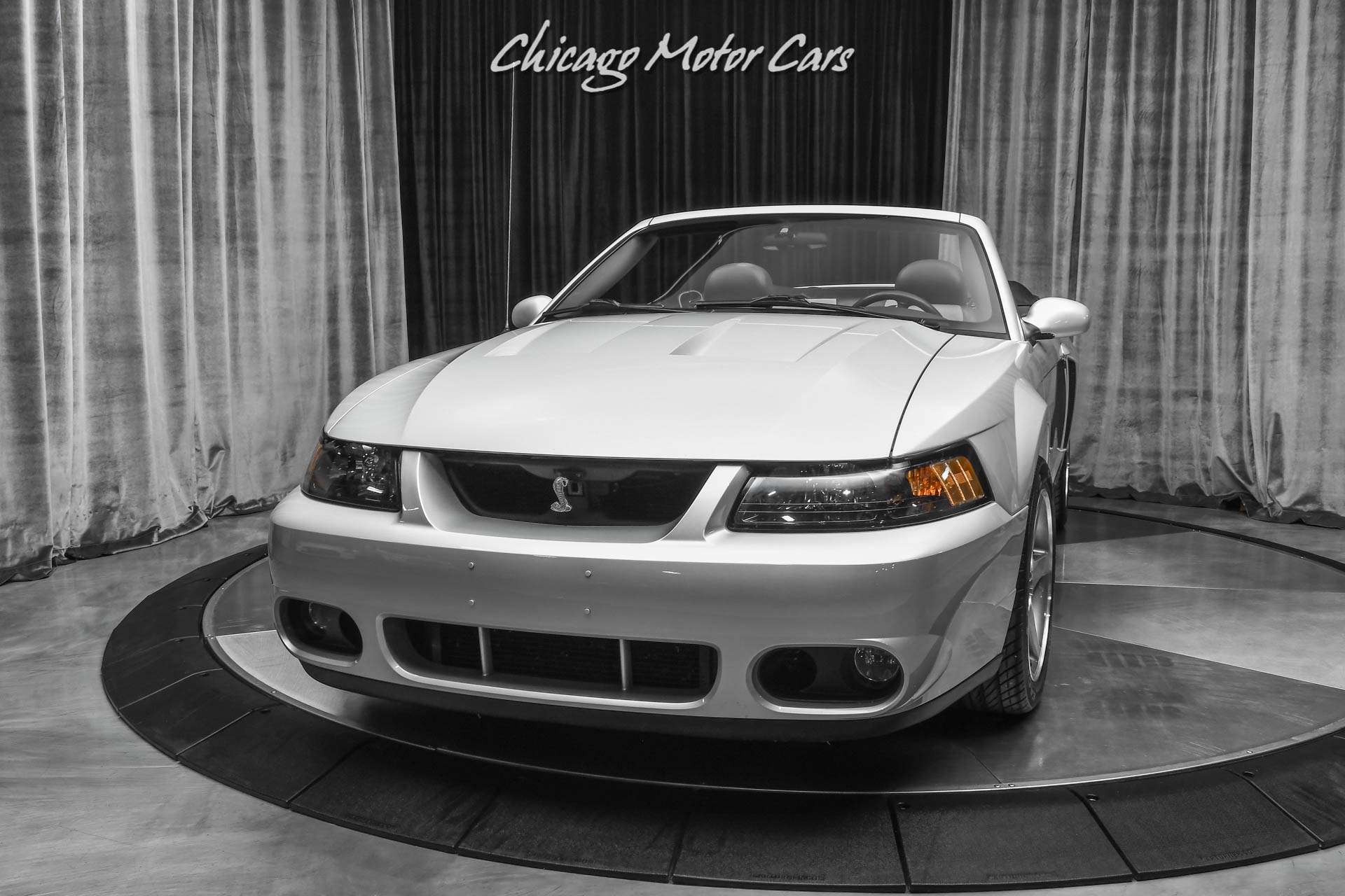 White Terminator Cobra